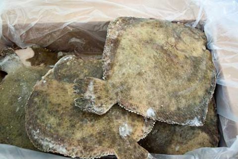 Romb - Fratello Trade a.d.